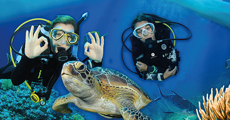 Buceo en Cancún para Principiantes | Tour en Arrecife Sin Certificación